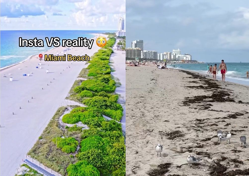 Influencer reveals the reality behind the Instagram illusion of Miami ...