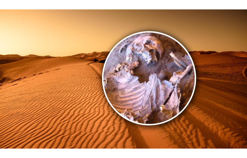 Ancient Sahara's isolated society revealed by DNA analysis