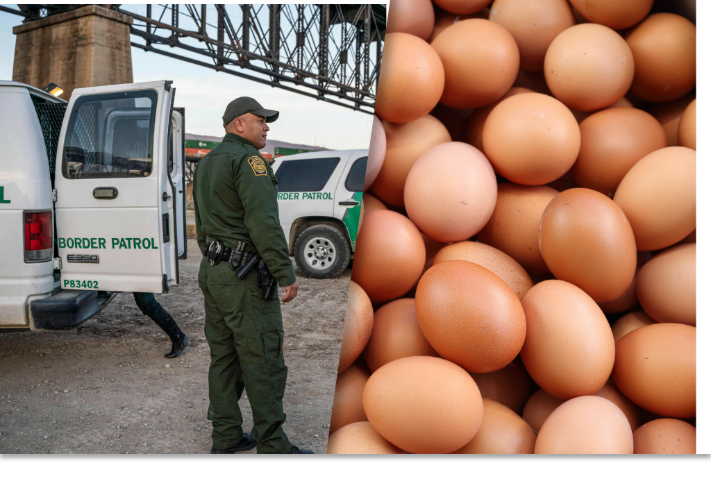 Egg smuggling at all-time high as fentanyl cases decline