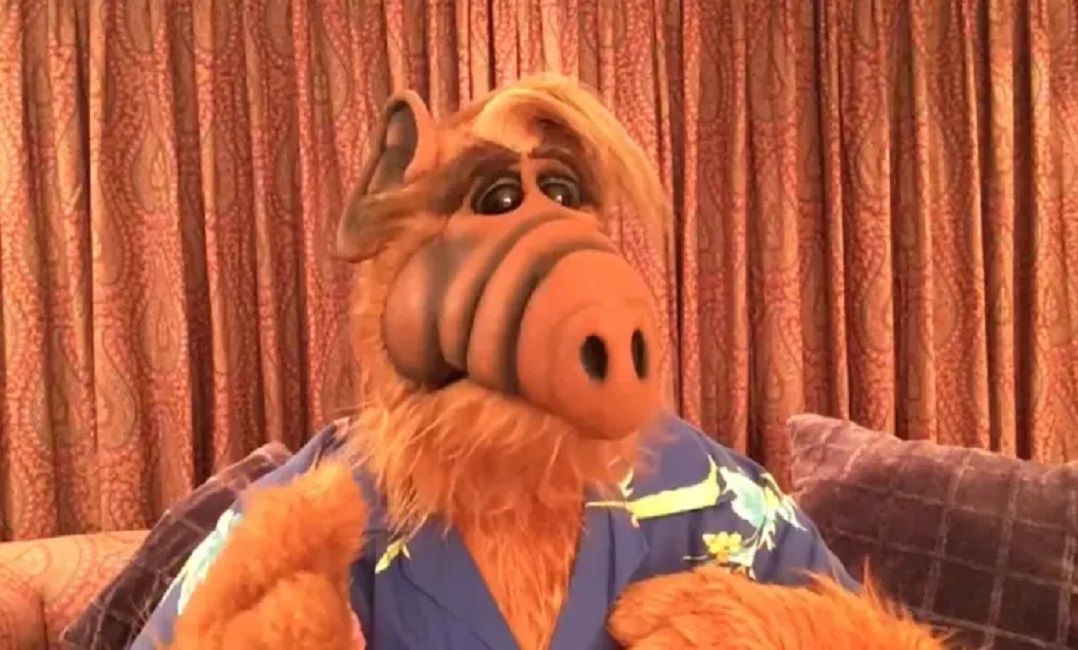"Alf": uwielbiany serial pogrążył obsadę. Jak potoczyły się losy gwiazd ...