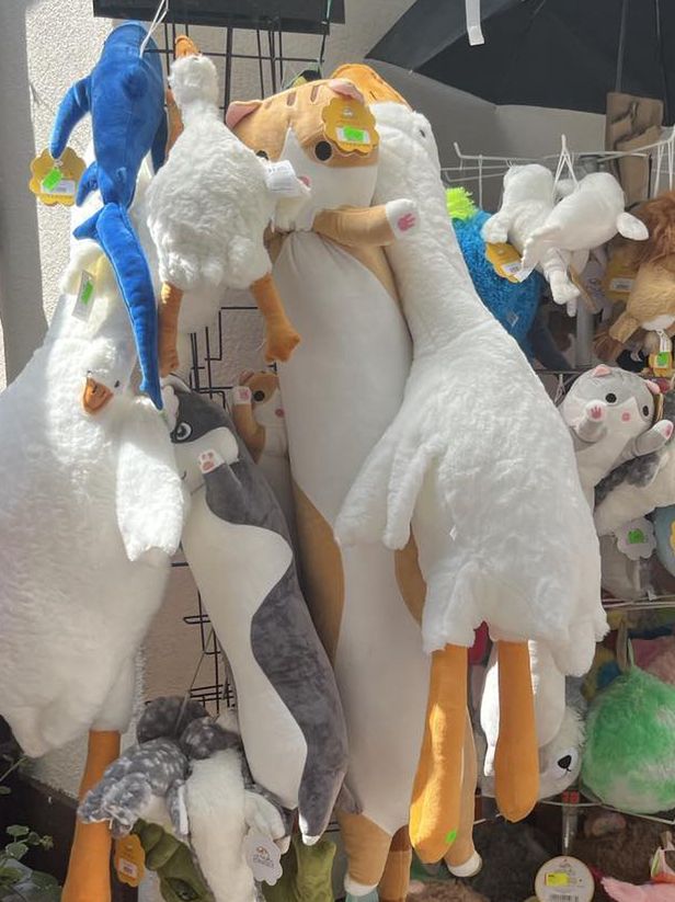 Hit straganów w polskich kurortach. UOKiK bije na alarm