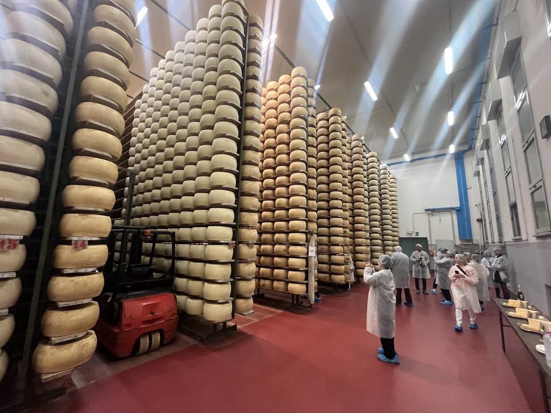 Parmesan paradise: A culinary journey through Emilia-Romagna