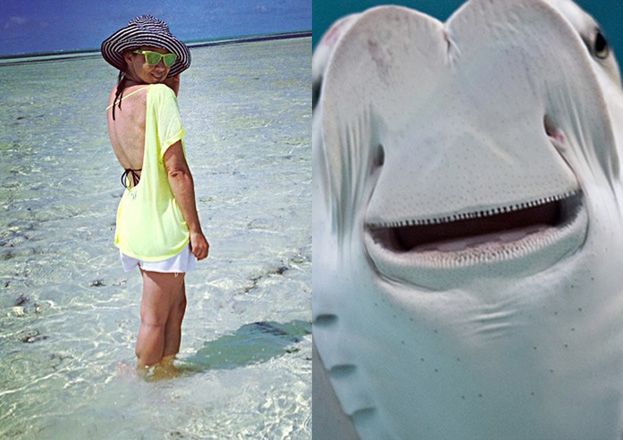 Stingray Photobomb Meme