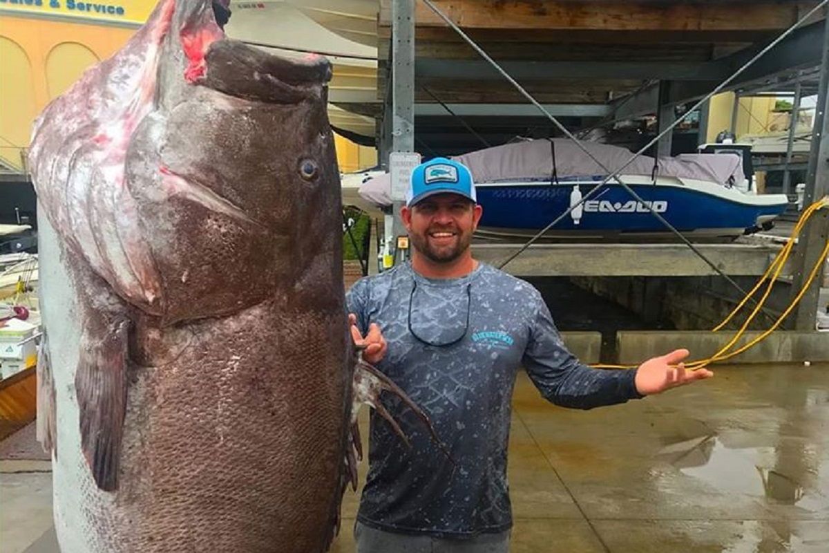 Ryba miała 50 lat. Wędkarz osłupiał, gdy ją zważył - o2 - Serce Internetu