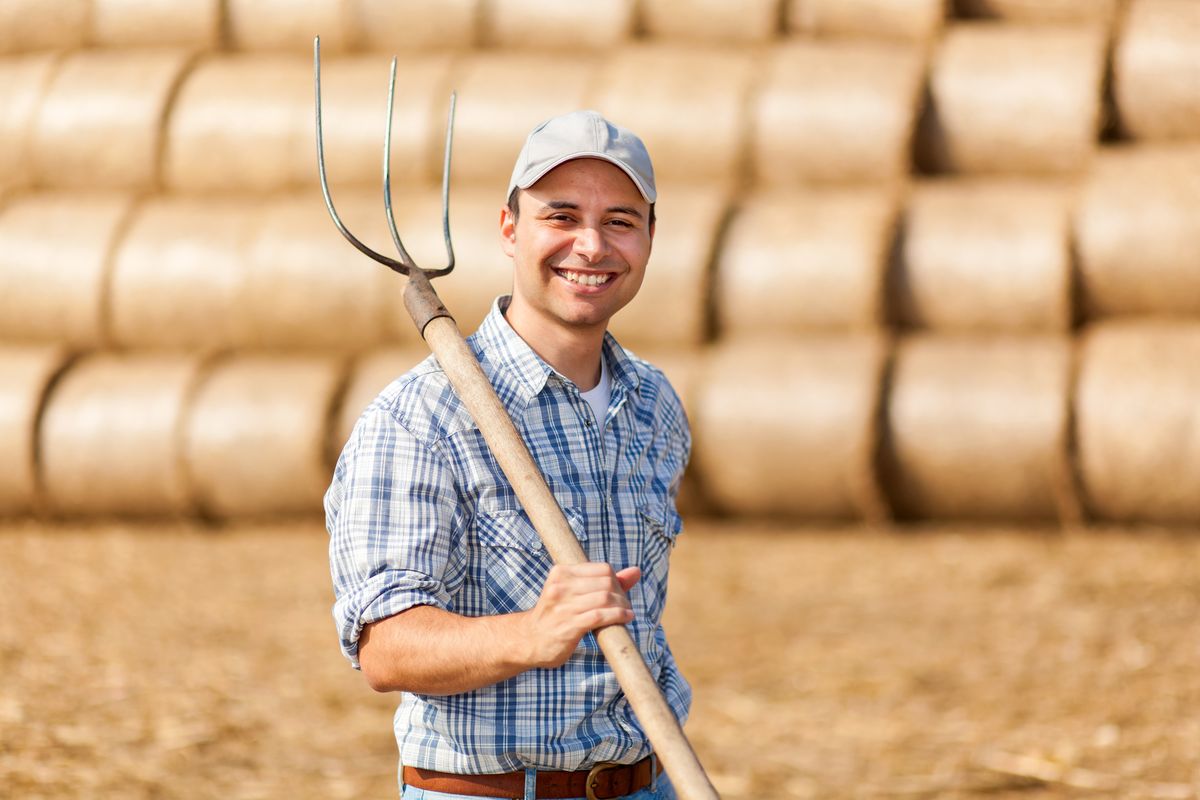 Psychotest. Czy nadajesz się na wiejskiego chłopa? - o2