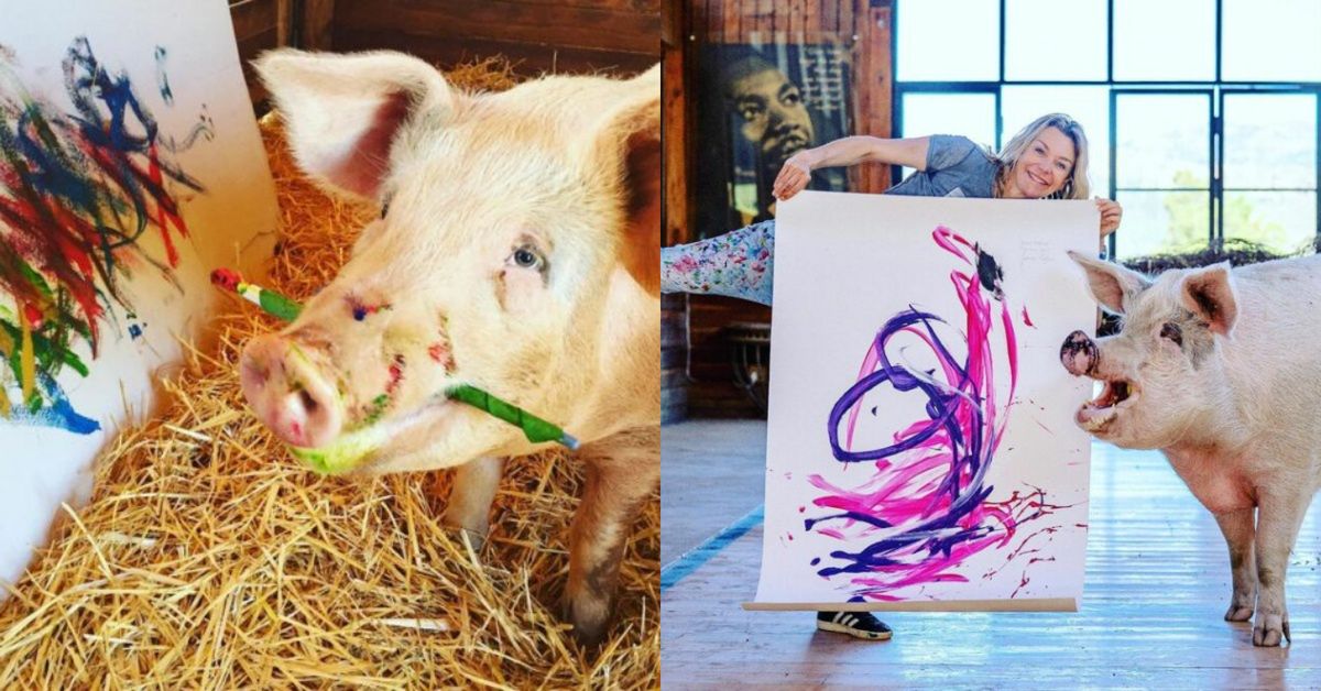 A Pig With an Artistic Soul Became a Painter. Pigcasso Grabs Brushes in ...