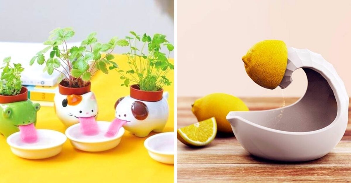 23 Gadgets Useful in the Kitchen, Which Are Not Only Practical but Also ...