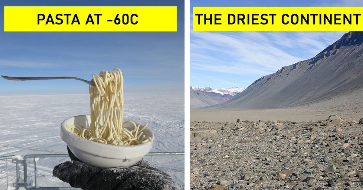 15 Totally Surprising Facts About the Antarctica – The Coldest, the ...