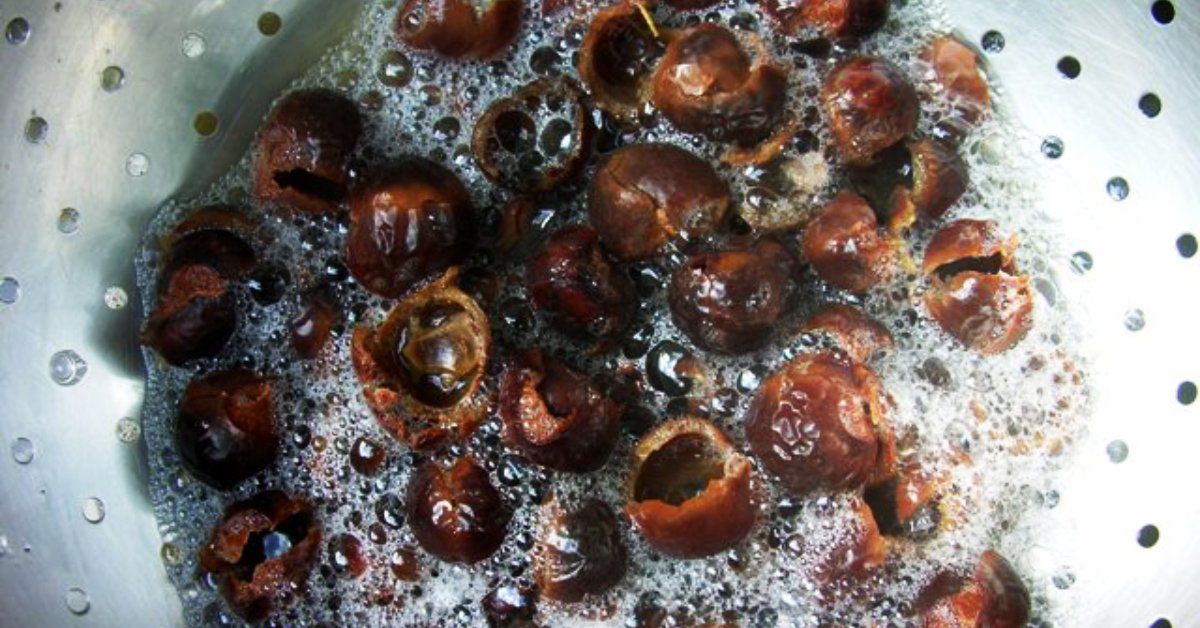 Soap Nuts as a Natural Detergent. Put Them into the Washing Machine or ...