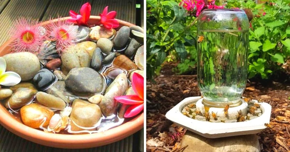A Properly Made Bee Watering Station Can Save Plenty of These Useful ...
