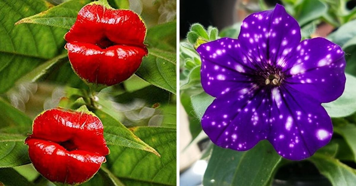 15 Magical Plants Straight From the Lands of Fantasy and Wonders