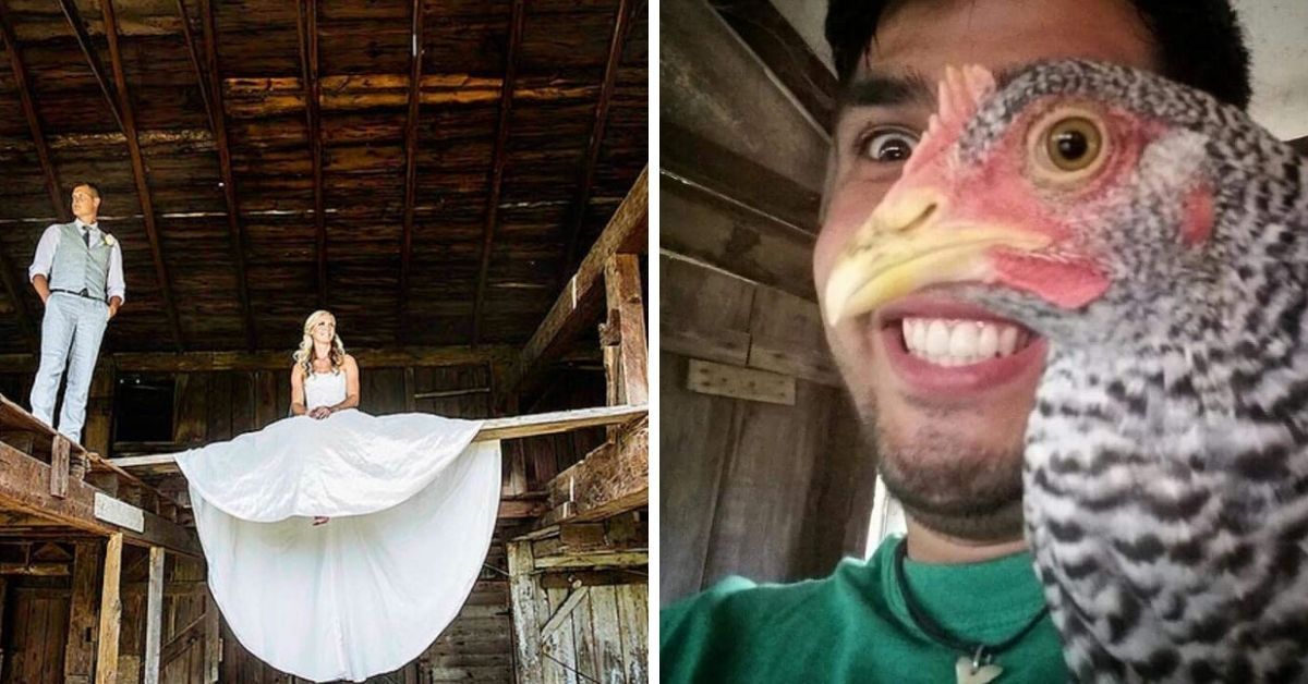 23 Amazing Photos with Unusual Perspective. Photoshop Wouldn’t Handle ...
