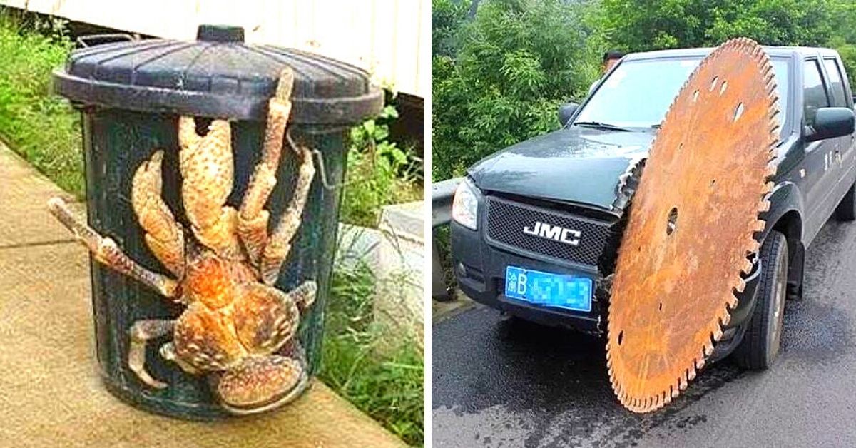 20 Photographs That Will Make Your Blood Run Cold. the World Will Never ...