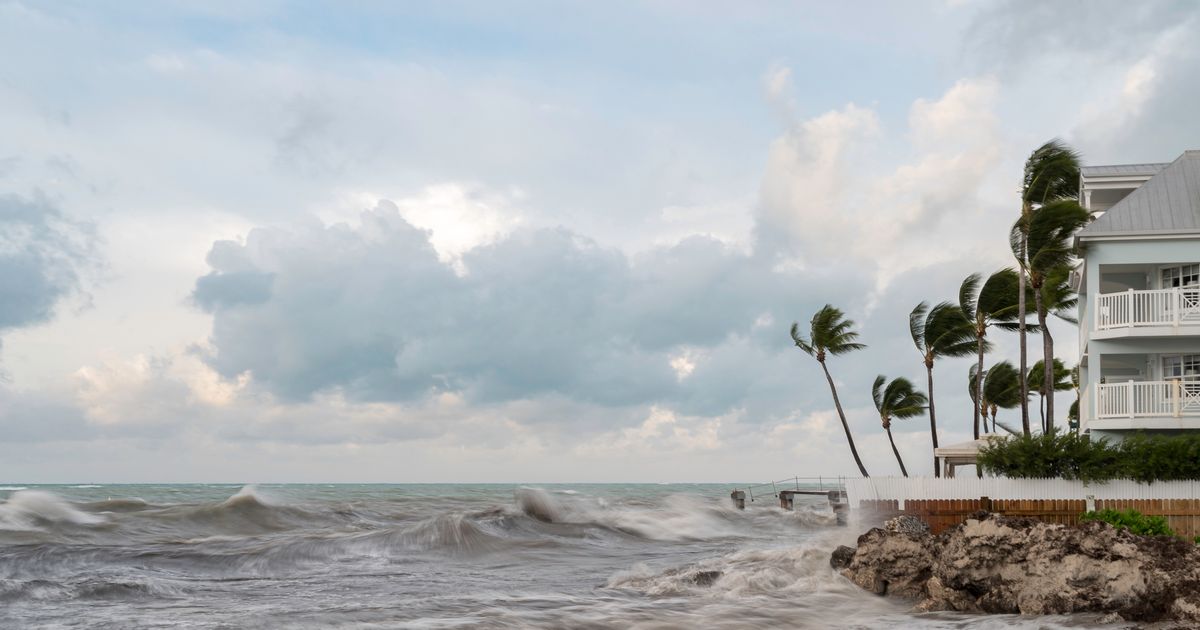 Hurricane Debby leaves behind deadly floods and million-dollar drug find