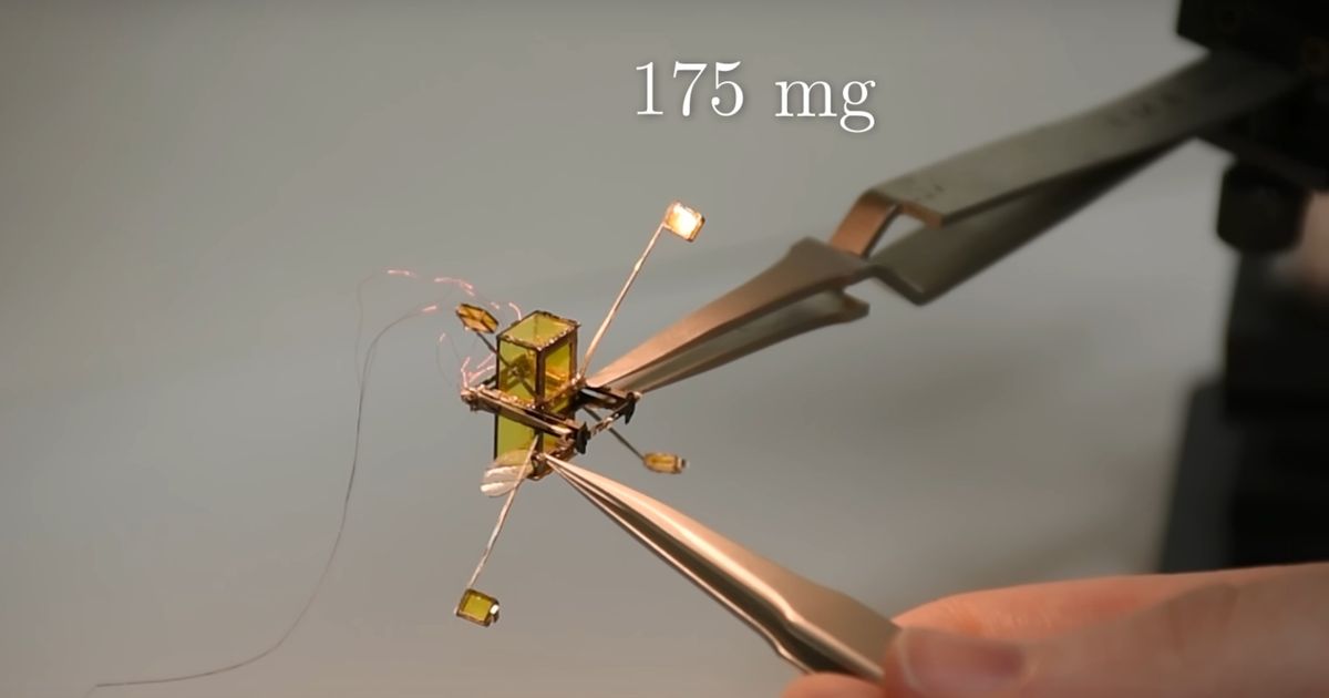 MIT's robotic insects could revolutionize crop pollination