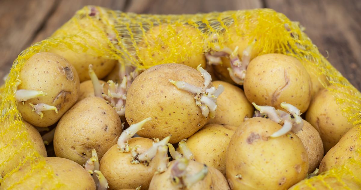 Stop potato sprouts: Easy kitchen tricks with bay leaves