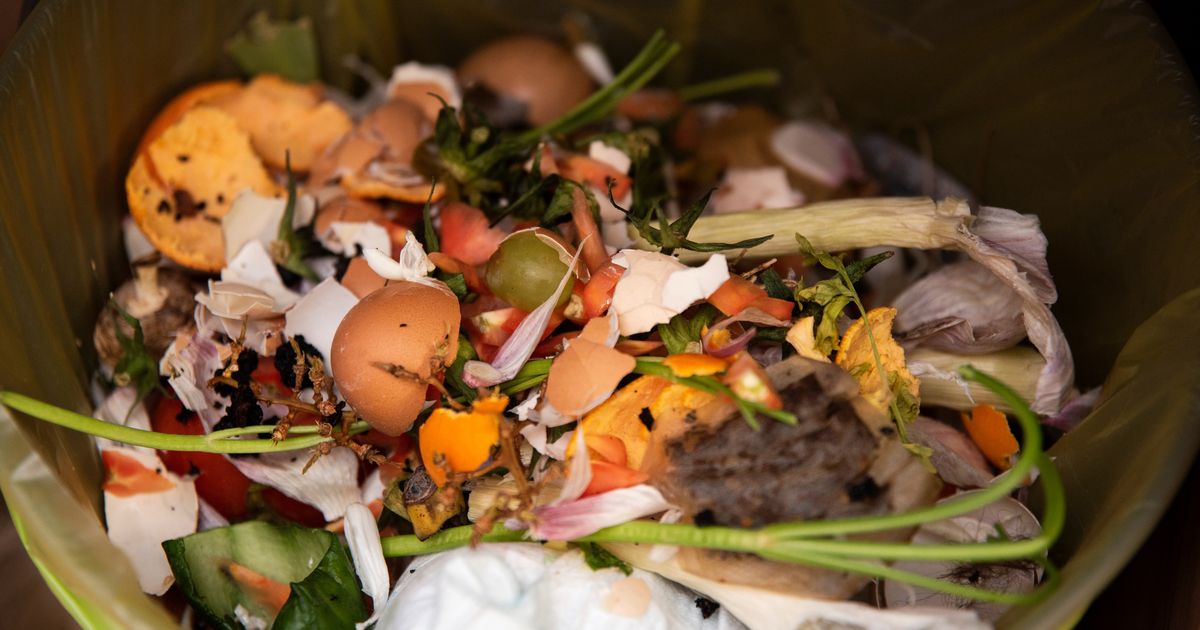 Don't trash those shells: The right way to dispose of eggshells