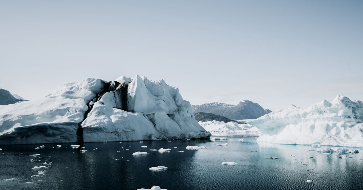 Prehistoric 'beasts of terror': Fossilized predatory worms unearthed in ...