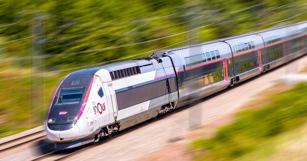 Pole's miraculous 310-mile ride on high-speed train