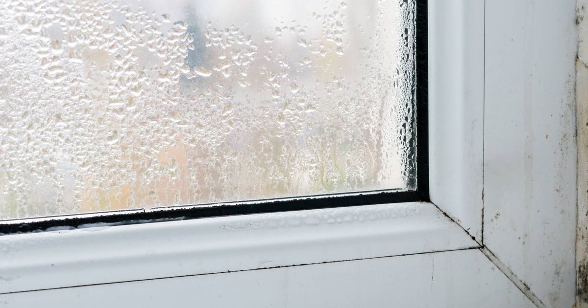 Stop window moisture: Simple DIY solutions revealed