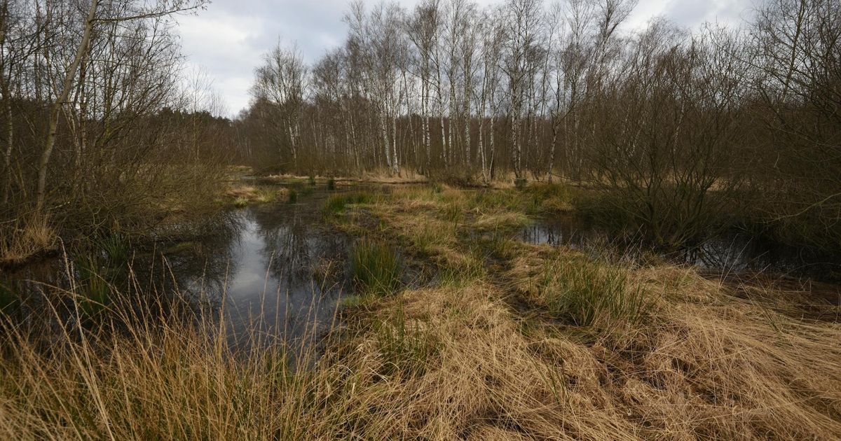 Radioactive threat looms as Lake Karachay's legacy persists