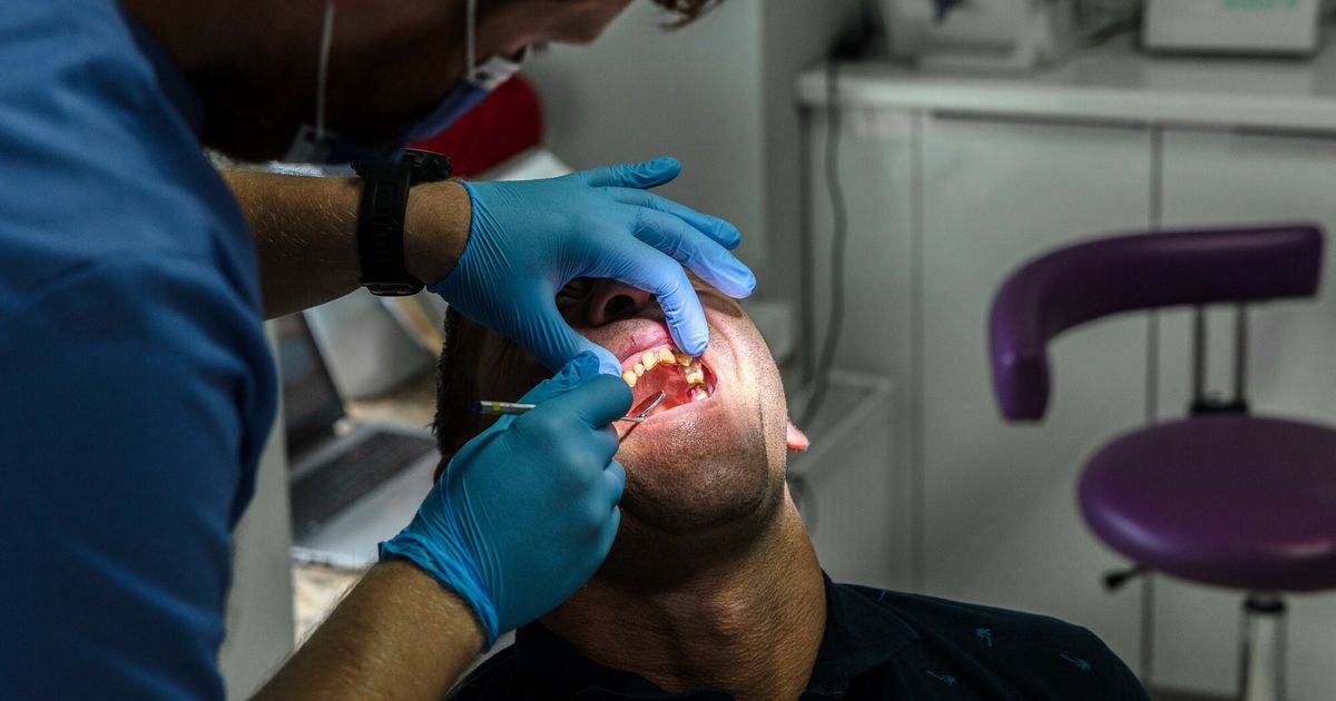 Dental breakthrough: Japanese drug aims to regrow teeth by 2030