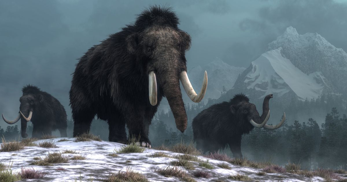 Reviving the Woolly Mammoth: How Science Aims to Bring Them Back by 2028