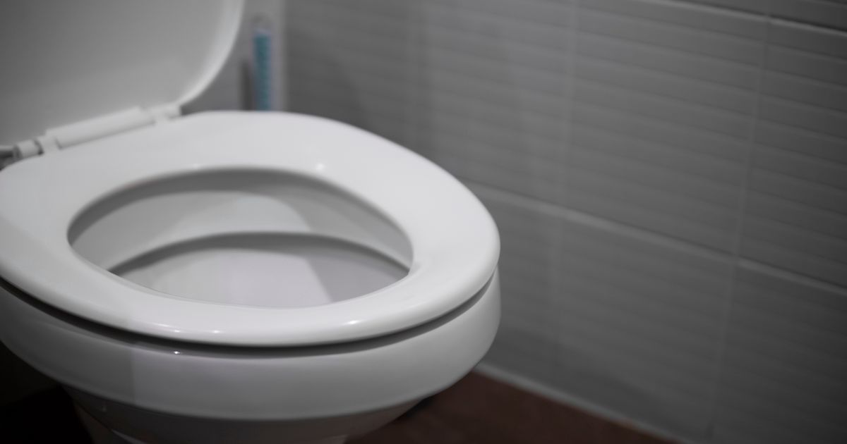 Car wax hack for spotless toilets: Pro cleaner secrets revealed