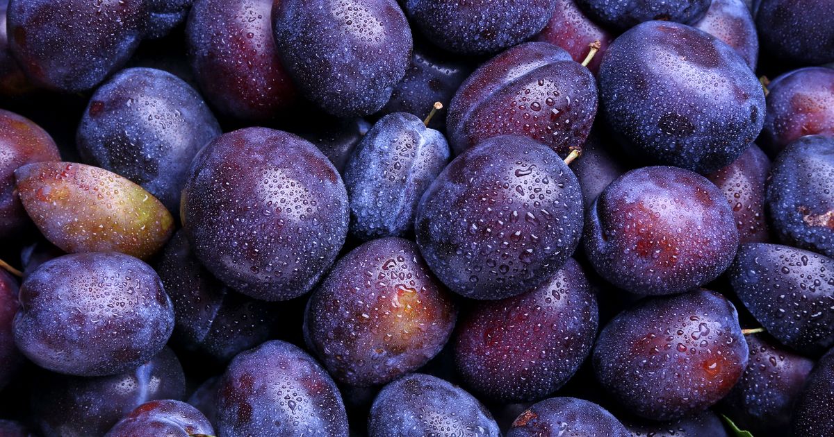 The season is in full swing. Here's what happens to your body when you ...