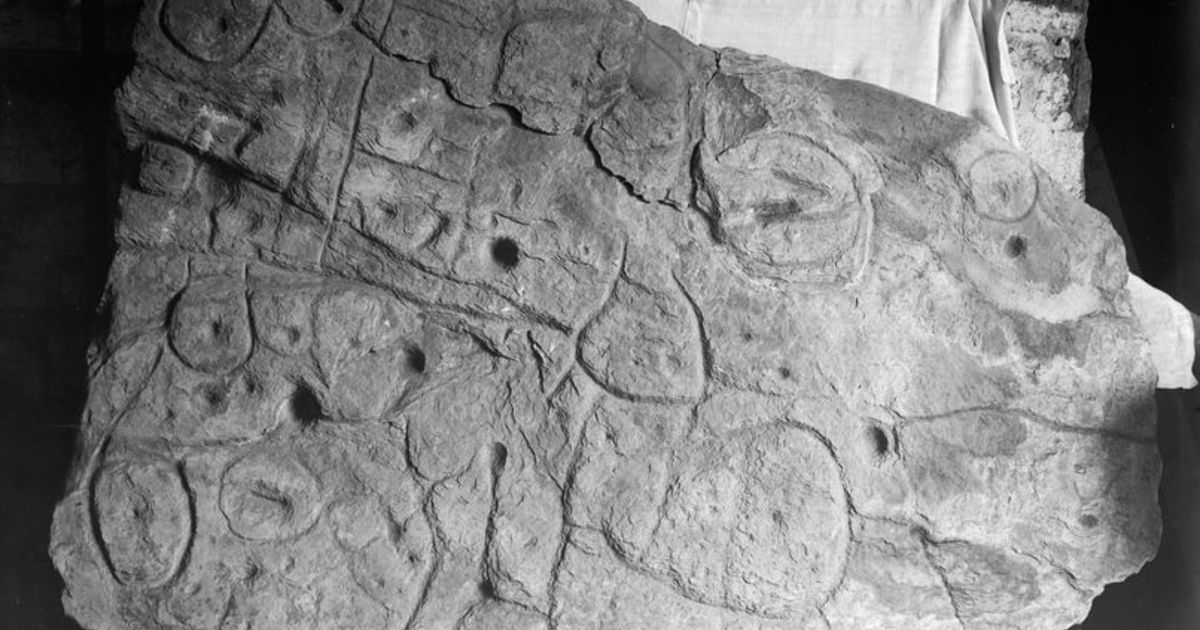 Ancient "treasure map". It was created 4,000 years ago