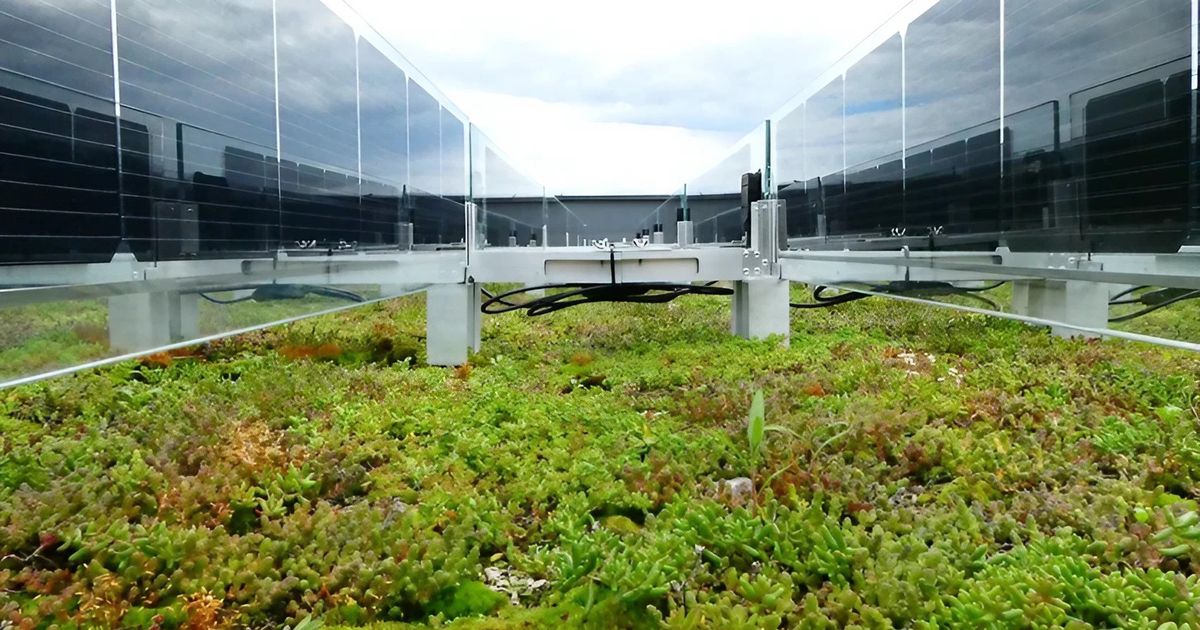 Norwegian solar company unveils innovative vertical panel system