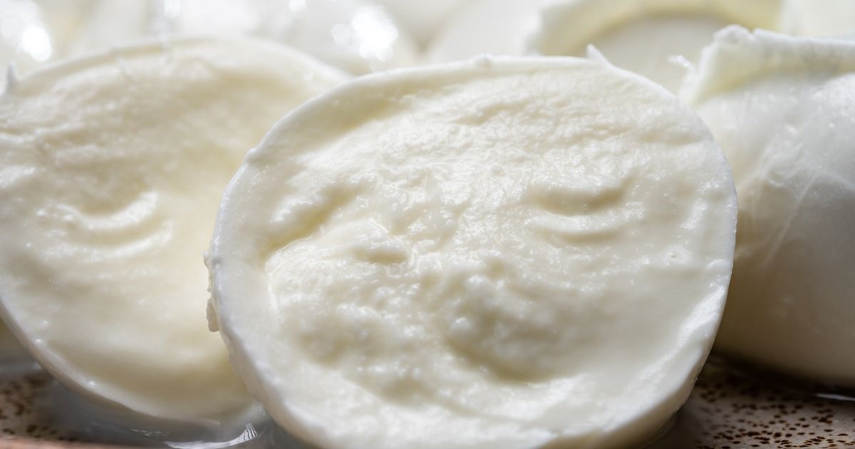 Discover the gut health benefits of Italy's bufala cheese