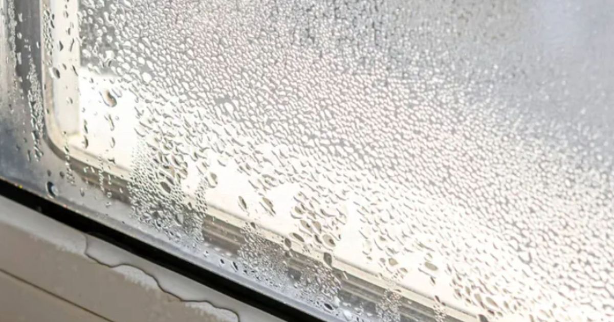 Combat window moisture with these simple home remedies