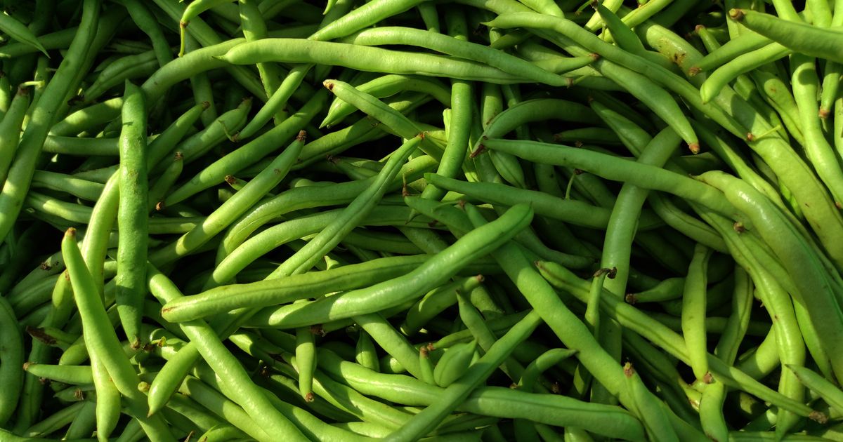 Beware: Undercooked green beans can turn toxic at the table