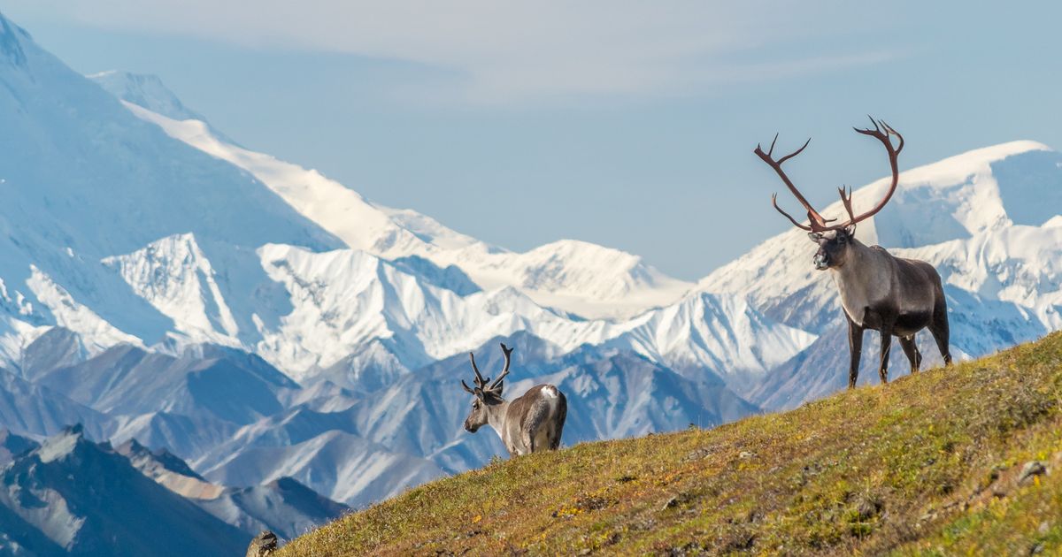 Alaska's thawing permafrost raises climate change concerns
