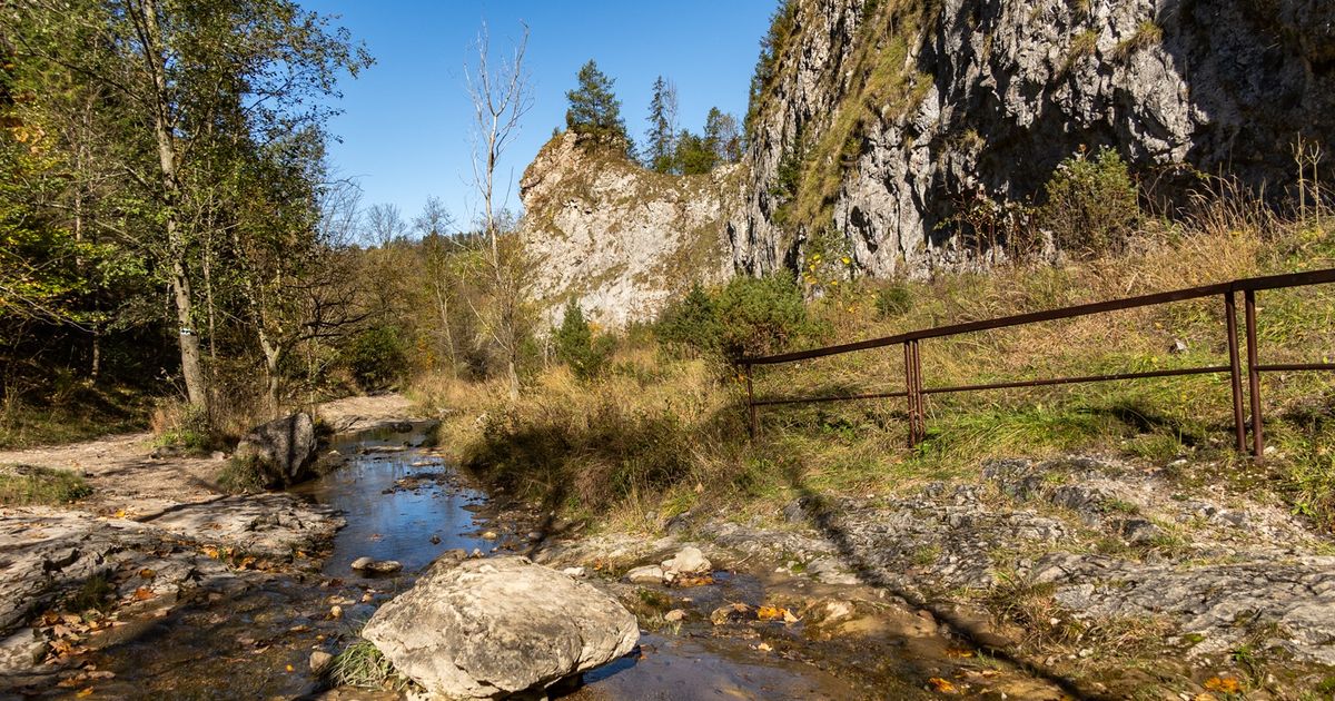 Wąwóz Homole – Rezerwat Przyrody i Perła Małych Pienin