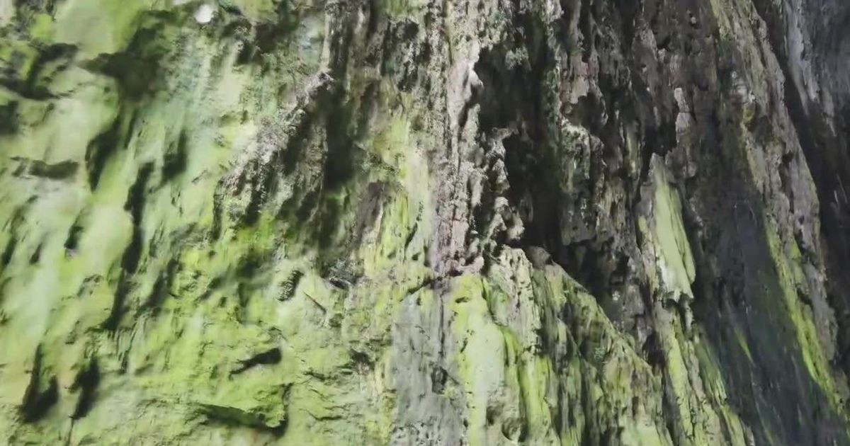 “Kobieta-pająk” wspina się po górach bez sprzętu ochronnego. Chinka ...