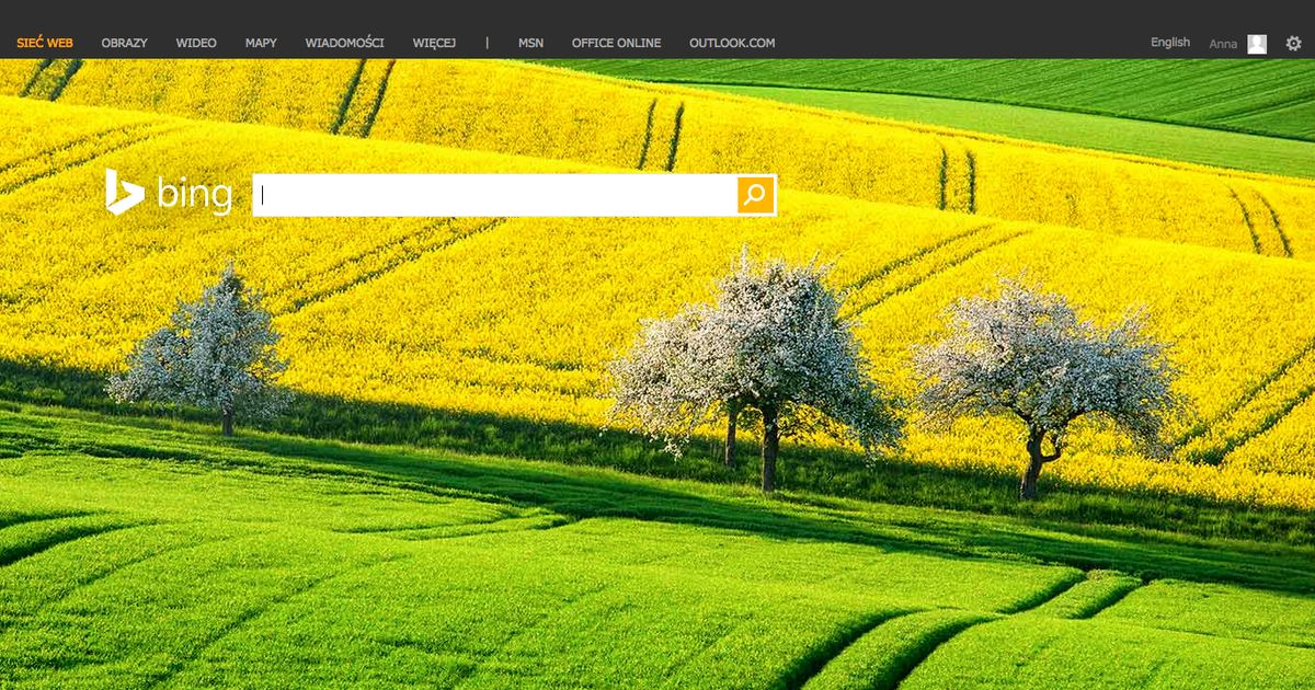 Bing pokaże prawa autorskie obrazów i pomoże zrobić zakupy