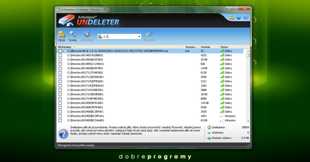 Ashampoo Undeleter 1.11 - dobreprogramy