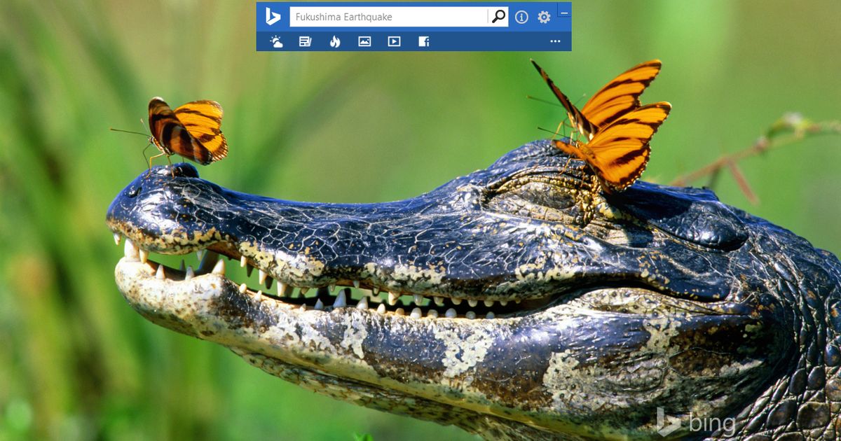 Bing Desktop 1.3.478.0 - dobreprogramy