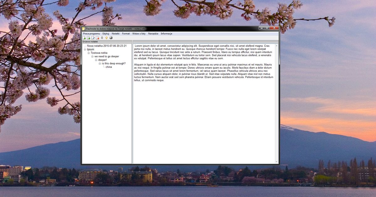 Flashnote 4.8 - dobreprogramy
