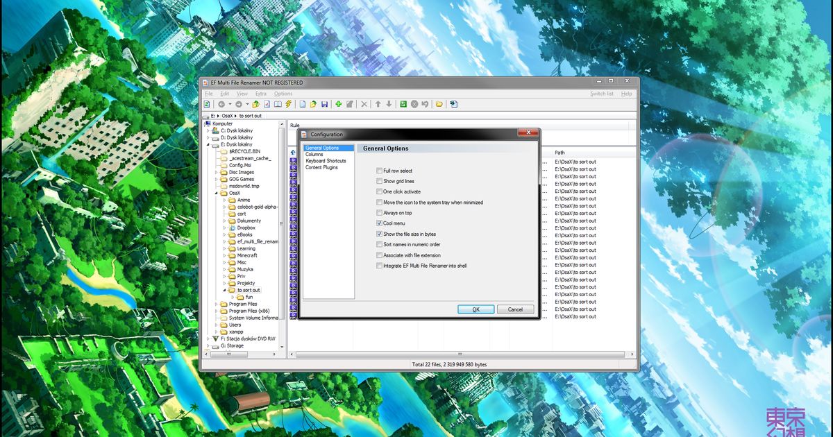 EF Multi File Renamer 25.10 - dobreprogramy