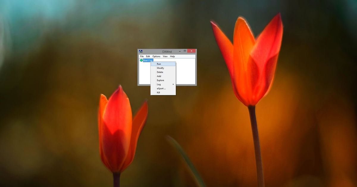 DXWnd 2.05.87 - dobreprogramy