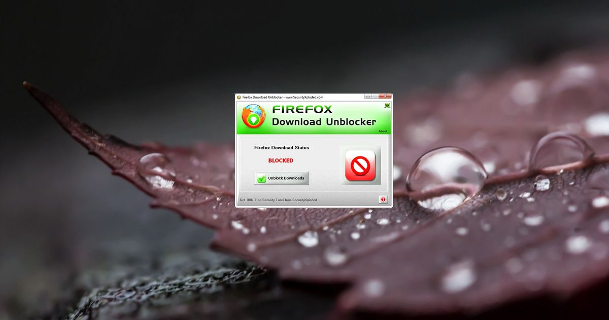 Firefox Download Unblocker 6.0 - dobreprogramy