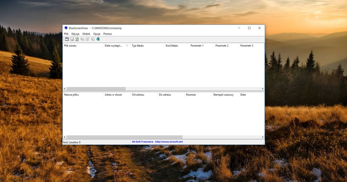 BlueScreenView 1.55 - dobreprogramy