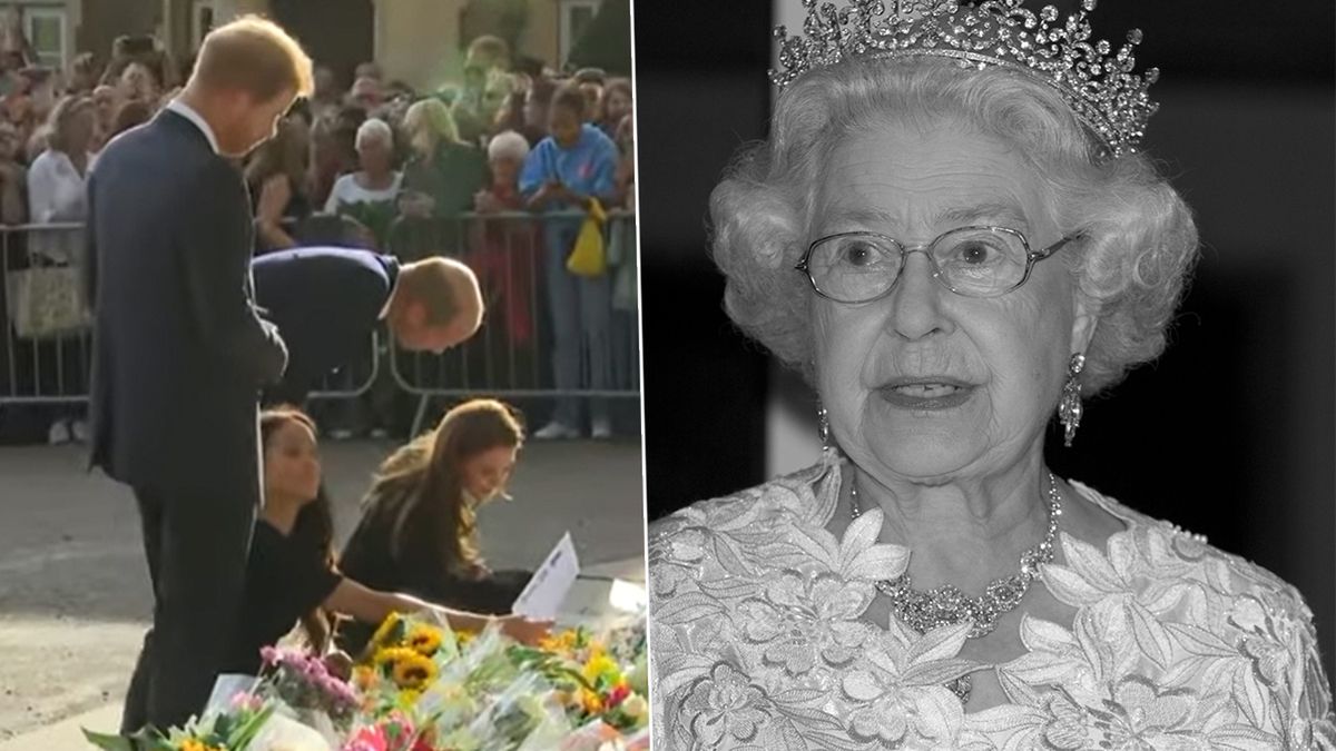 Harry i William z żonami po raz pierwszy po wielu miesiącach razem! Tak ...