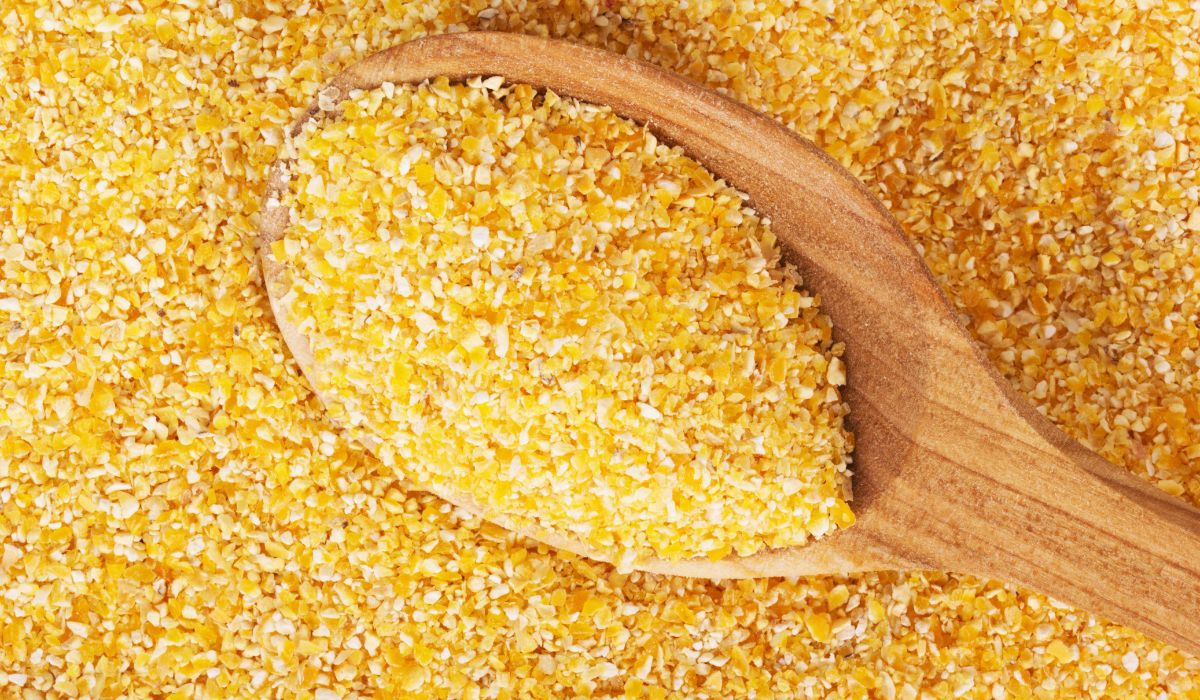 Kasza kukurydziana - właściwości i zastosowanie. Dlaczego warto ją jeść?