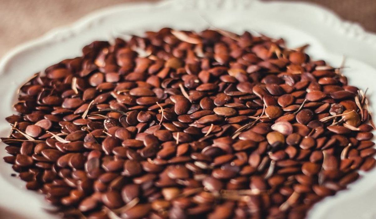 Te nasionka wyglądają bardzo niepozornie. Polacy nawet nie wiedzą, jaka ...