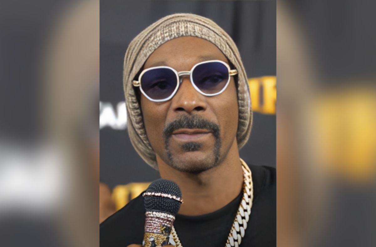 Snoop Dogg's smokeless fireplace campaign fizzles out, leaving only ...