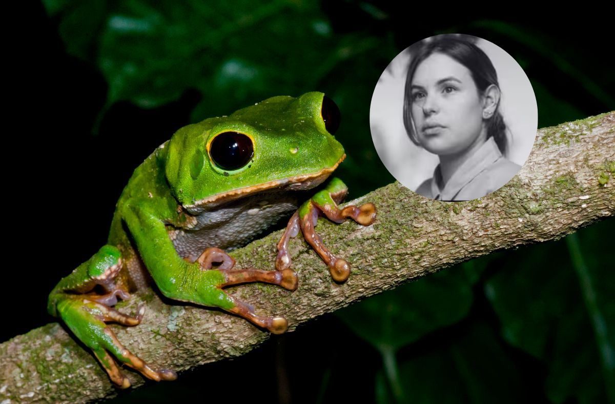 Mexican actress dies in controversial Kambo frog ritual